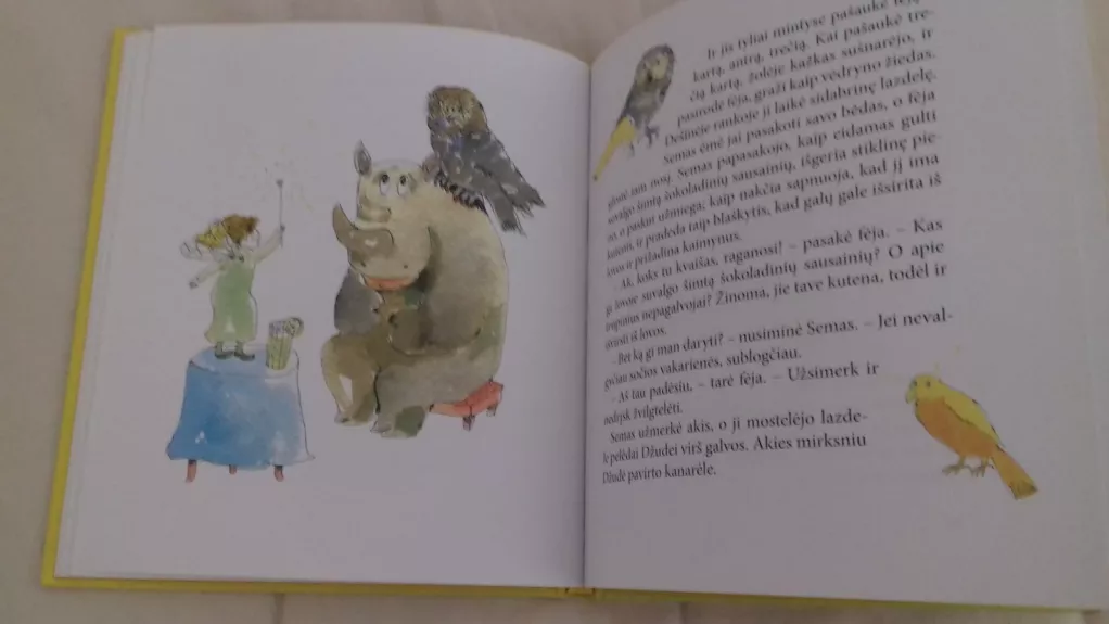 Aukštyn kojom 2 - Donaldas Bisetas, knyga