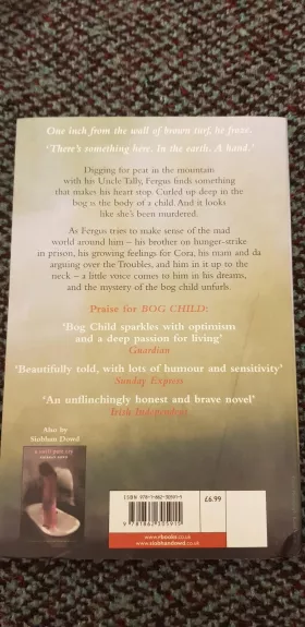 Bog child - Siobhan Dowd, knyga