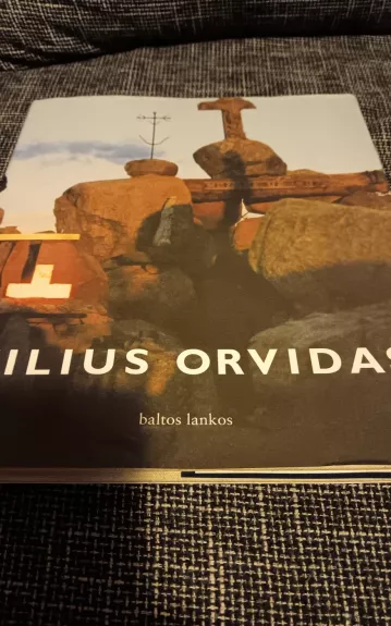 Vilius Orvidas - Vaidotas Žukas, knyga