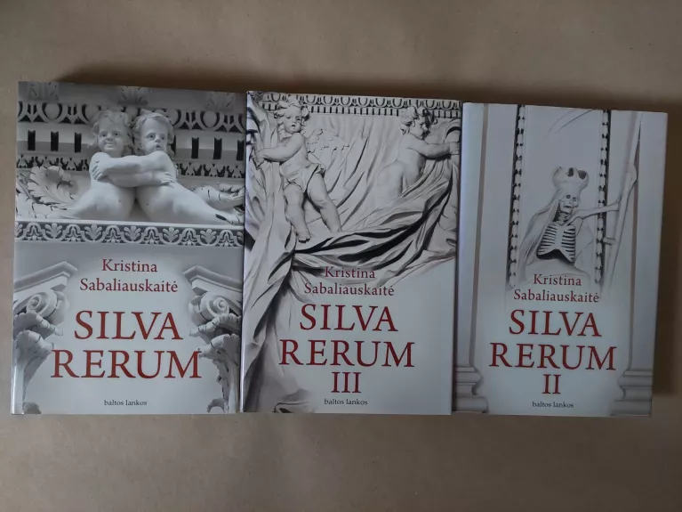 Silva Rerum (3 dalys) - Sabaliauskaitė Kristina, knyga