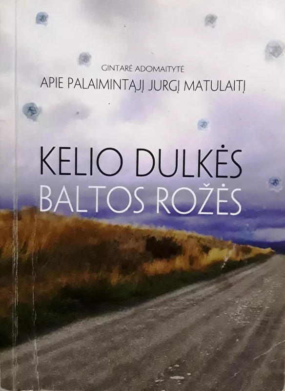 Kelio dulkės, baltos rožės - Gintarė Adomaitytė, knyga
