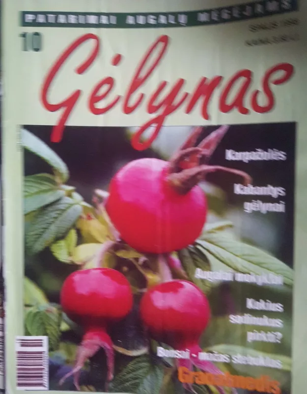 Gėlynas, 1998 m., Nr. 12 - Autorių Kolektyvas, knyga