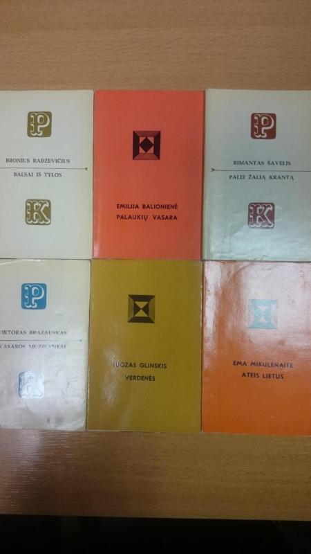 Pirmoji knyga - Autorių Kolektyvas, knyga