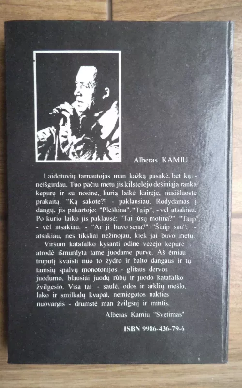 Alberas Kamiu - Brigita Zendig, knyga