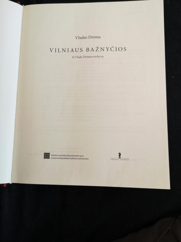Vilniaus bažnyčios - Vladas Drėma, knyga