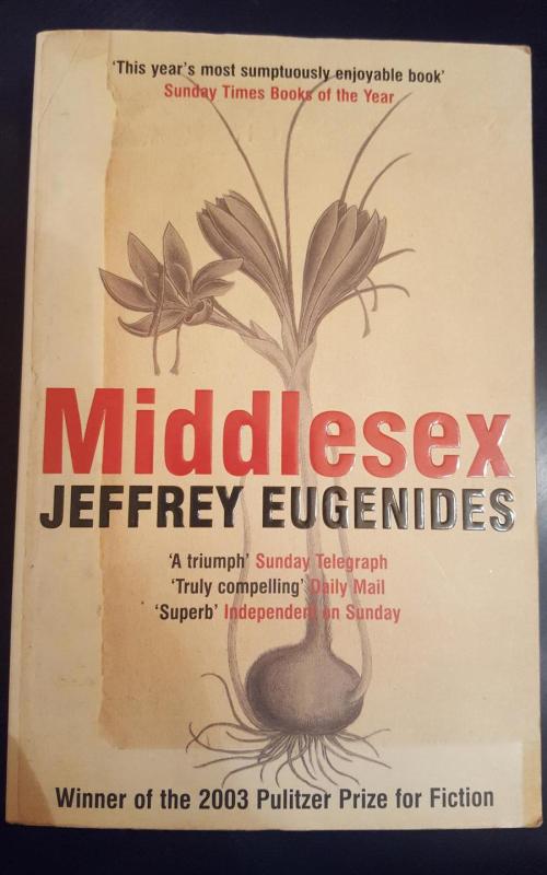 Middlesex - Eugenides Jeffrey, knyga