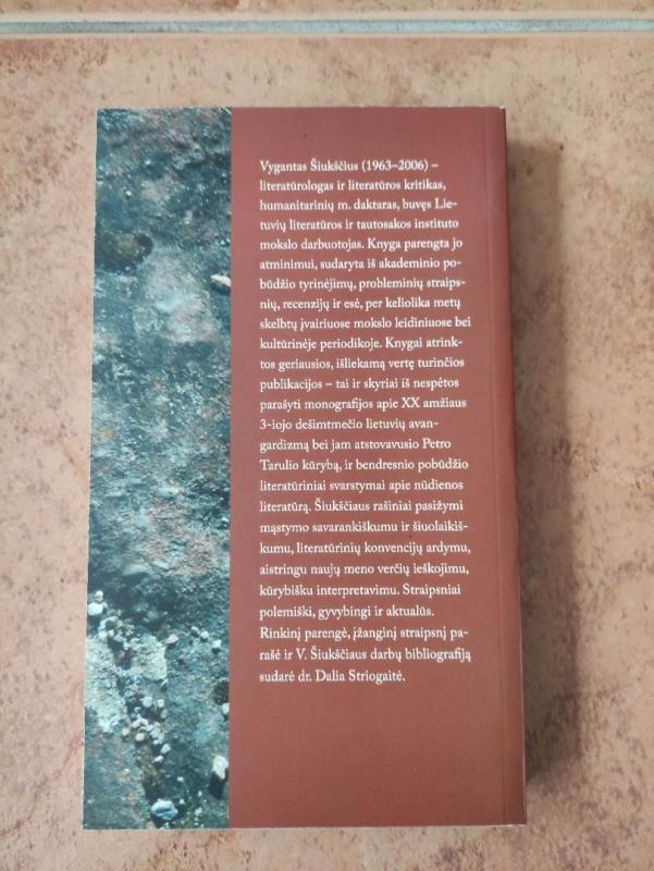 Likę tekstai - Vygantas Šiukščius, knyga