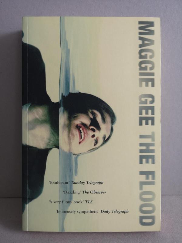 The Flood - Maggie Gee, knyga