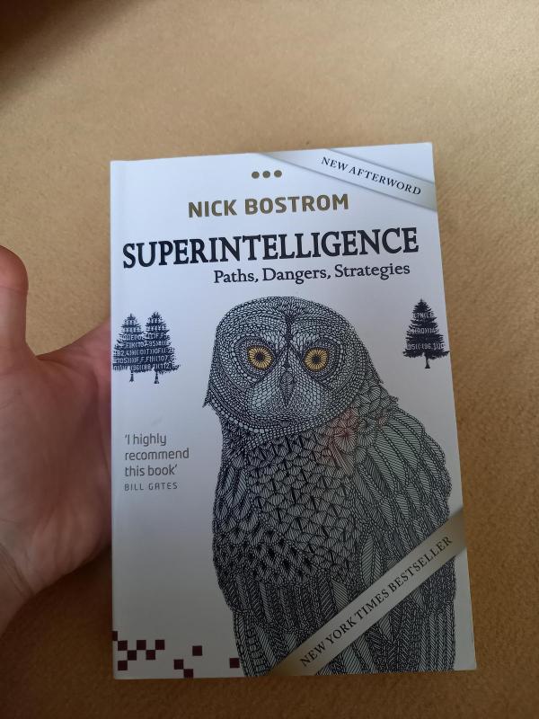 Superintelligence - Arigapudis, knyga