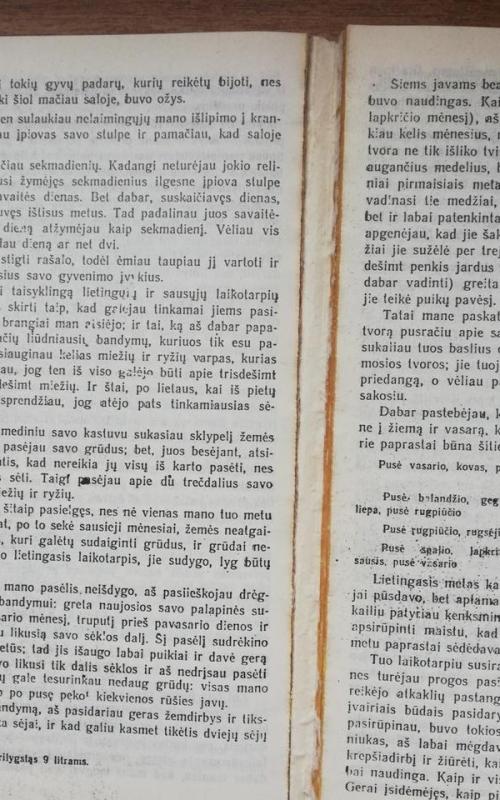 Robinzonas Kruzas - D. Defo, knyga