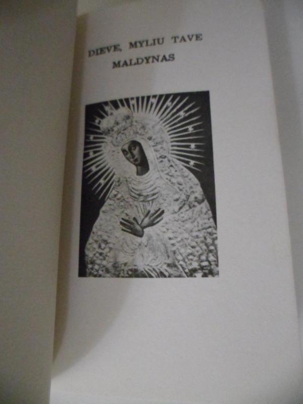 Dieve, myliu tave. Maldynas - Autorių Kolektyvas, knyga