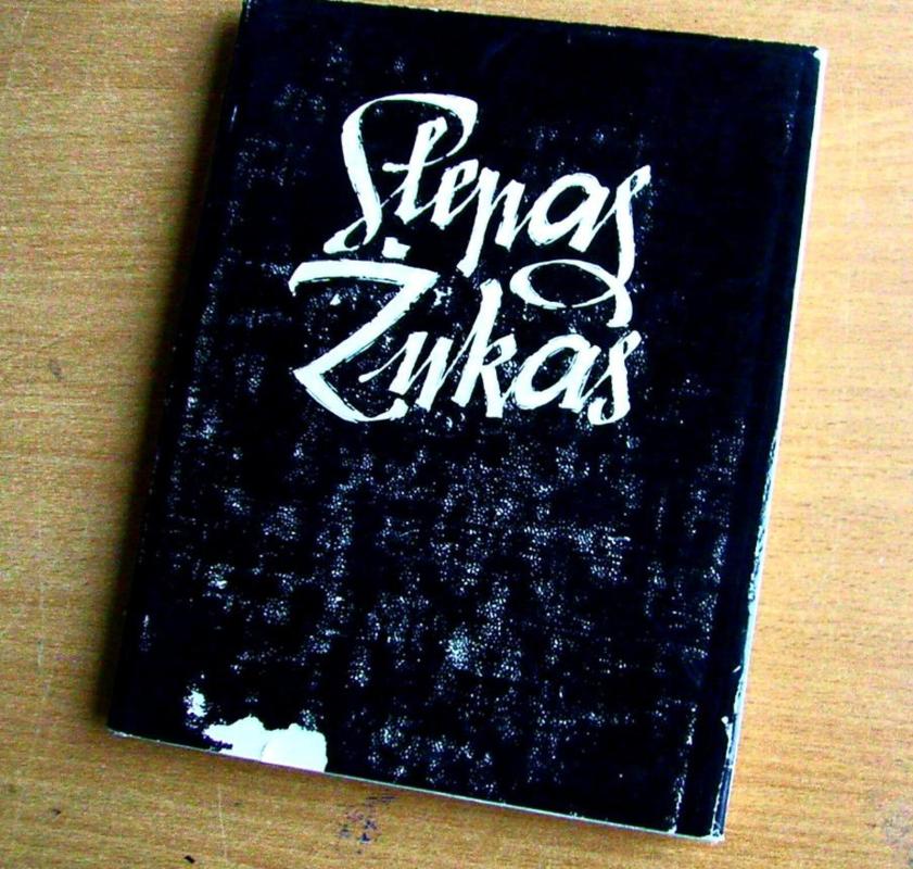 Stepas Žukas - Judita Grigienė, knyga