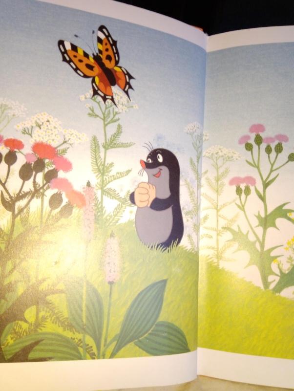 KAIP KURMIS KOMBINEZONĄ ĮSITAISĖ - E. Petiška, knyga