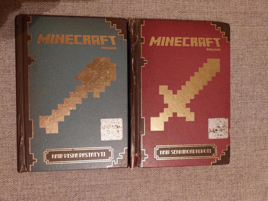 Minecraft: Kaip sėkmingai kovoti - Stephanie Milton, knyga