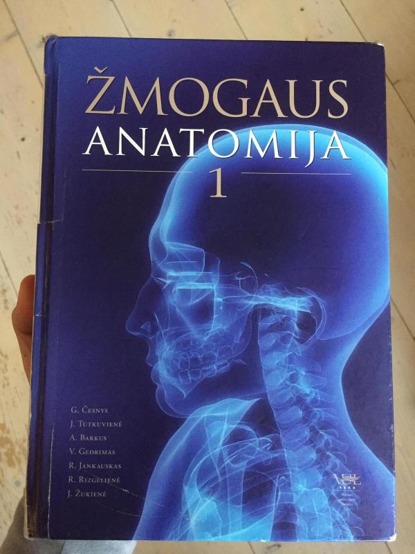 Žmogaus anatomija (1 tomas) - Autorių Kolektyvas, knyga