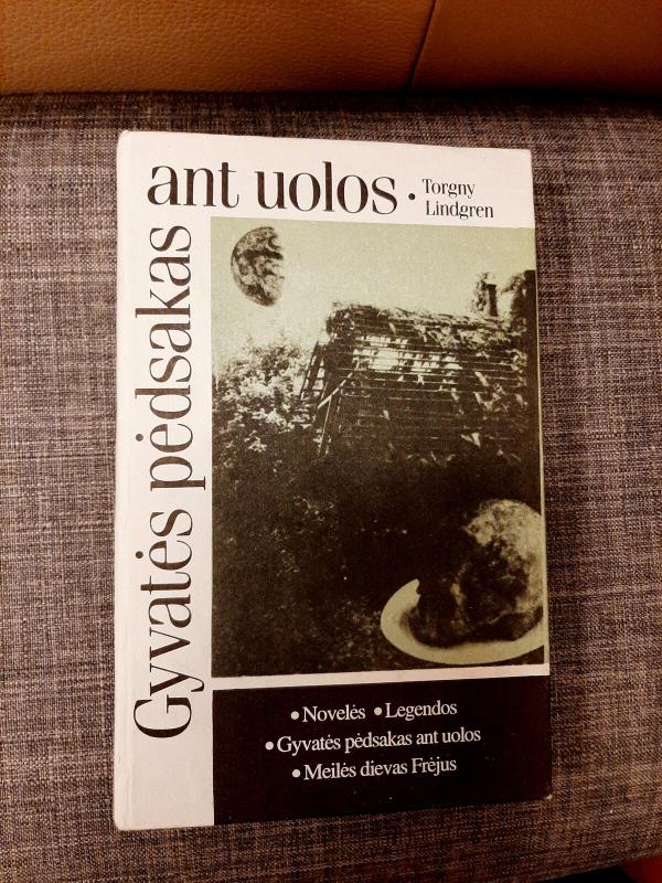 Gyvatės pėdsakas ant uolos - Torgny Lindgren, knyga