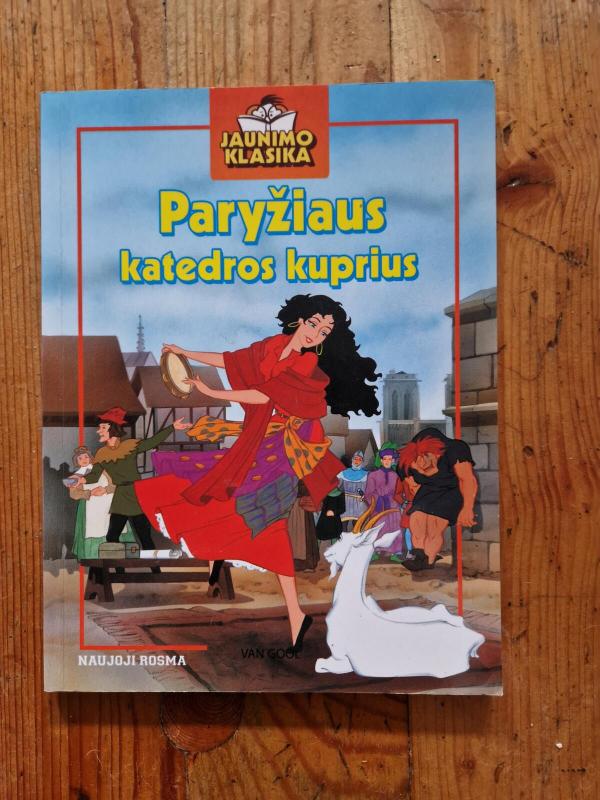 Paryžiaus Katedros Kuprius - Walt Disney, knyga