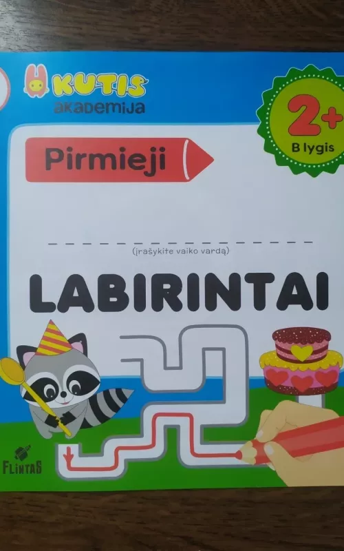 Pirmieji labirintai - Ilona Bakšė, knyga