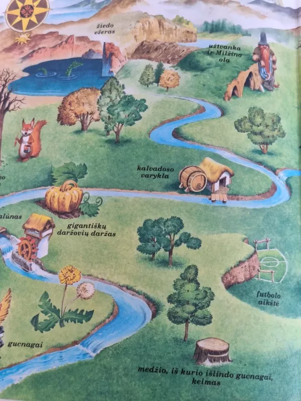 Miško pasakos. Drakonai - Tony Wolf, knyga