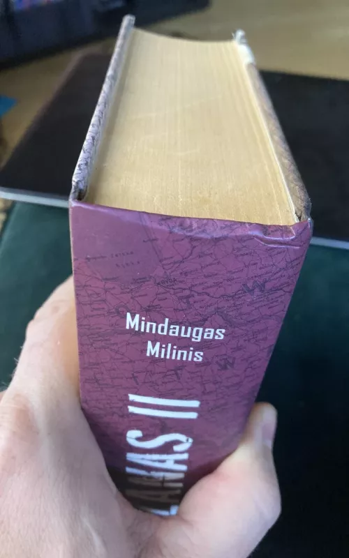 Partizanas II - Mindaugas Milinis, knyga