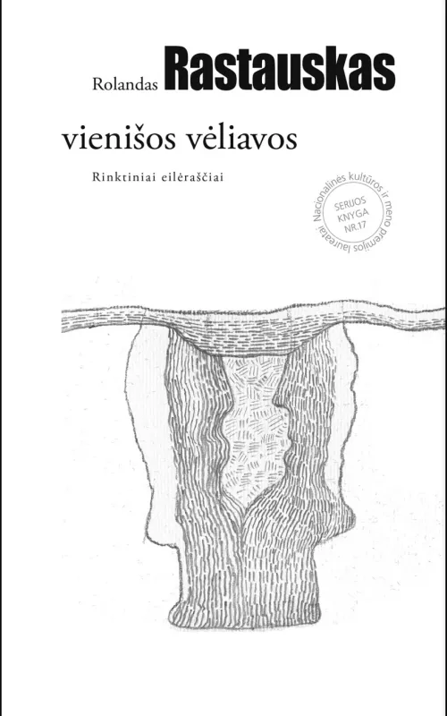 Vienišos vėliavos - Rolandas Rastauskas, knyga