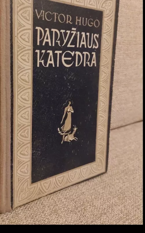 Paryžiaus katedra - Viktoras Hugo, knyga