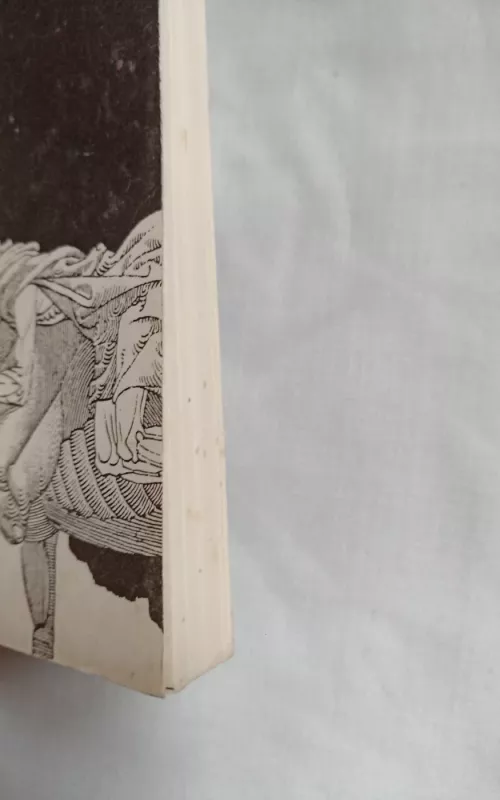 Dausos - Gintaras Beresnevičius, knyga