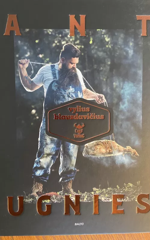 Ant ugnies - Vylius Blauzdavičius, knyga