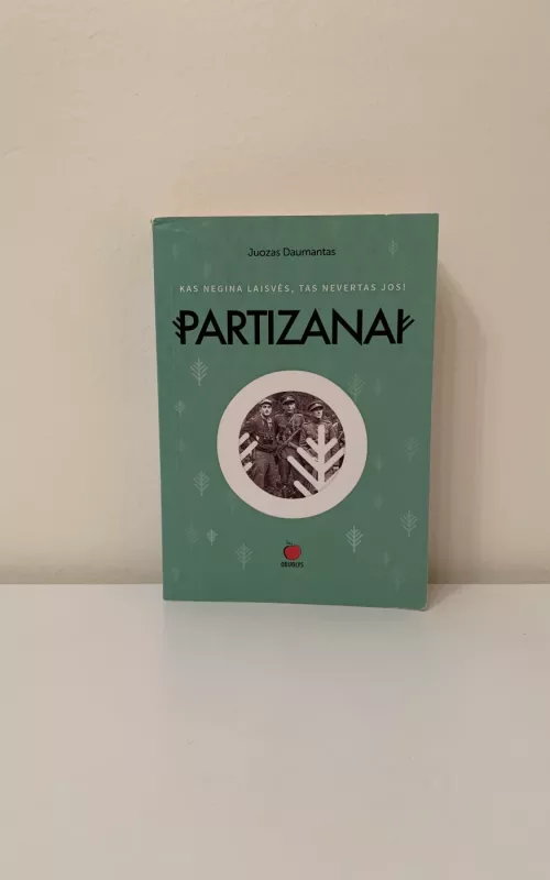 Partizanai - Juozas Daumantas, knyga