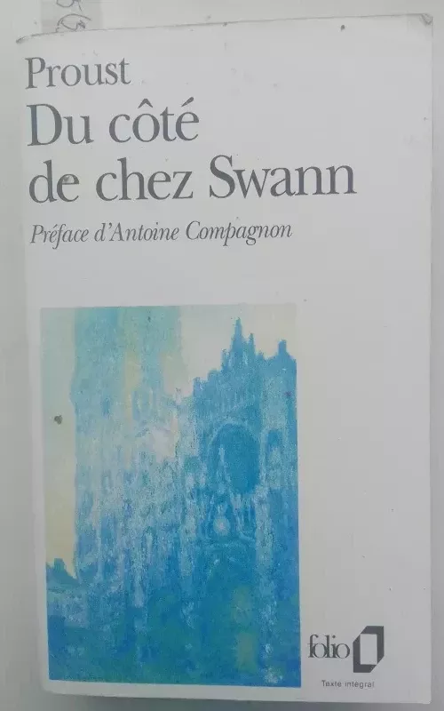 Du côté de chez Swann - Marcel Proust, knyga