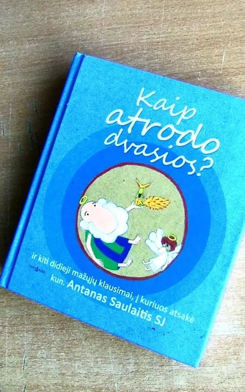 Kaip atrodo dvasios? - Antanas Saulaitis, knyga