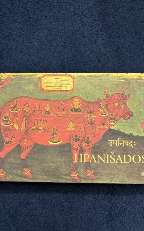 Upanišados - Audrius Beinorius, knyga