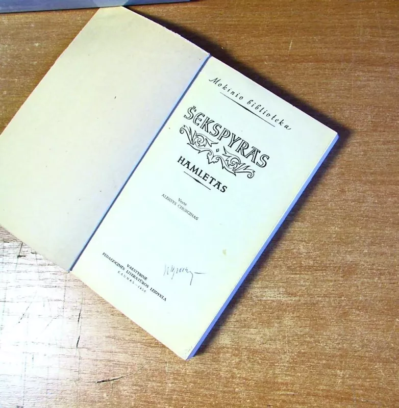 Hamletas - Viljamas Šekspyras, knyga