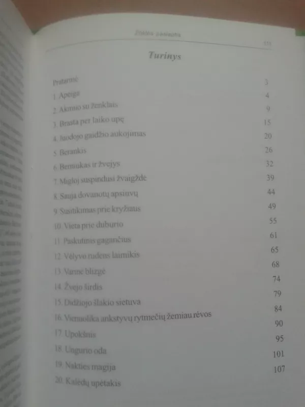 Žūklės paslaptis - Viktoras Armalis, knyga