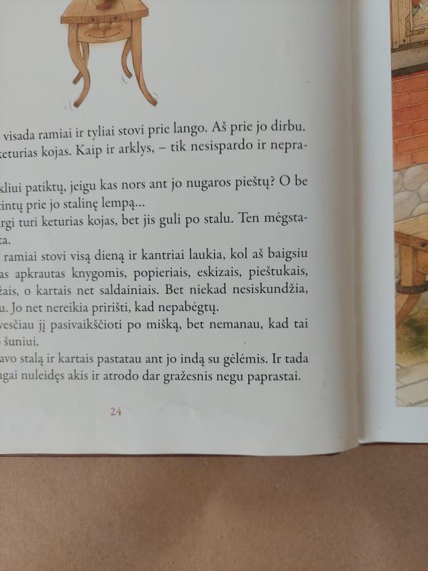 Apie daiktus. Trumpos istorijos - Kęstutis Kasparavičius, knyga