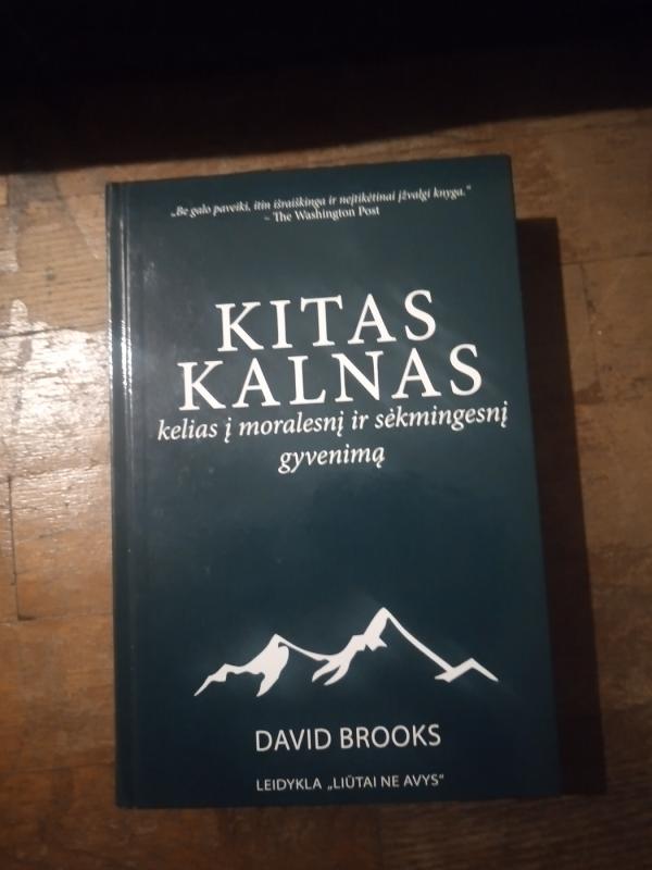 Kitas kalnas. Kelias į moralesnį ir sėkmingesnį gyvenimą - David Brooks ...