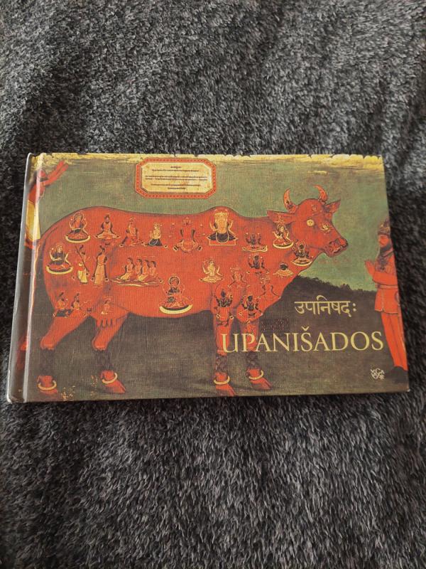 Upanišados - Audrius Beinorius, knyga