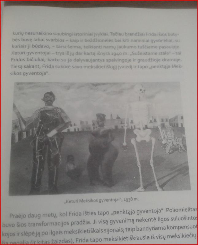 Frida. Fridos Kahlo biografija - Hayden Herrera, knyga