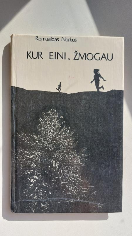 Kur eini, žmogau... Susitikimai, pokalbiai, apmąstymai... - Romualdas ...