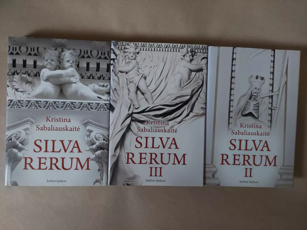 Silva Rerum (3 dalys) - Sabaliauskaitė Kristina, knyga