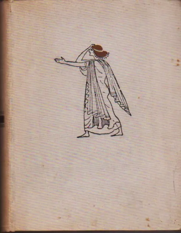 Iliada - Homeras, knyga