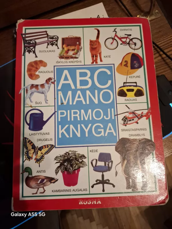 ABC. Mano pirmoji knyga - Asta Bartkevičiūtė, knyga