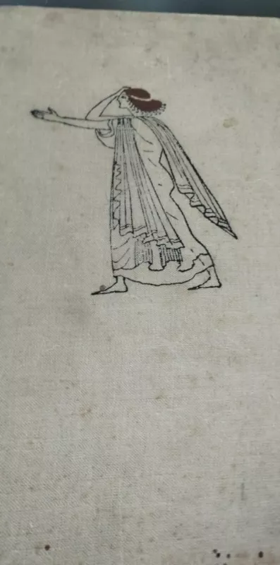 Homeras Iliada - Autorių Kolektyvas, knyga