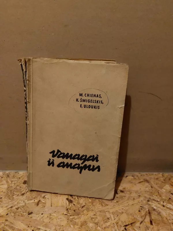 Vanagai iš anapus - M. Chienas, knyga