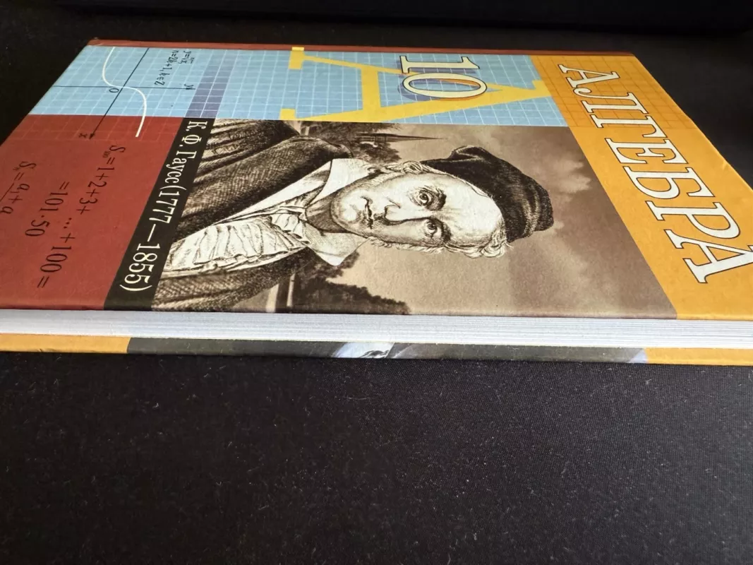 Algebros vadovėlis 10 klasei - L. Sheneperman, knyga