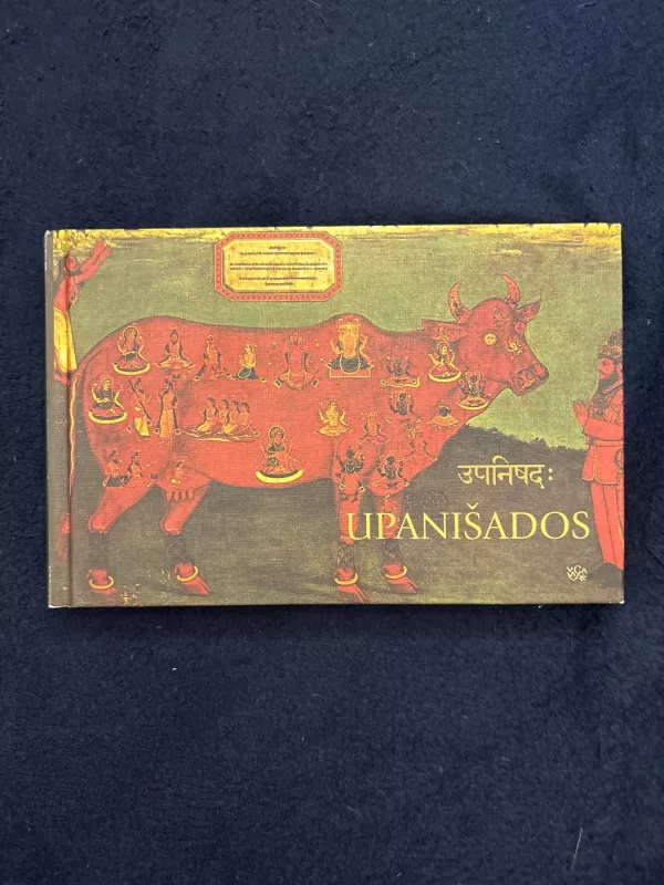Upanišados - Audrius Beinorius, knyga