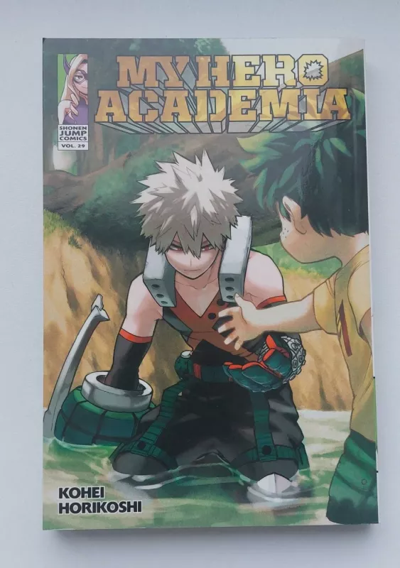 My Hero Academia, Vol. 29 - Kohei Horikoshi, knyga