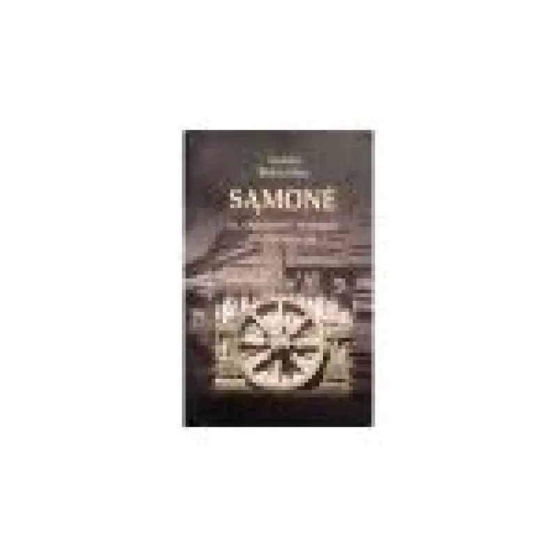 Samone klasikineje Indijos filosofijoje - Audrius Beinorius, knyga