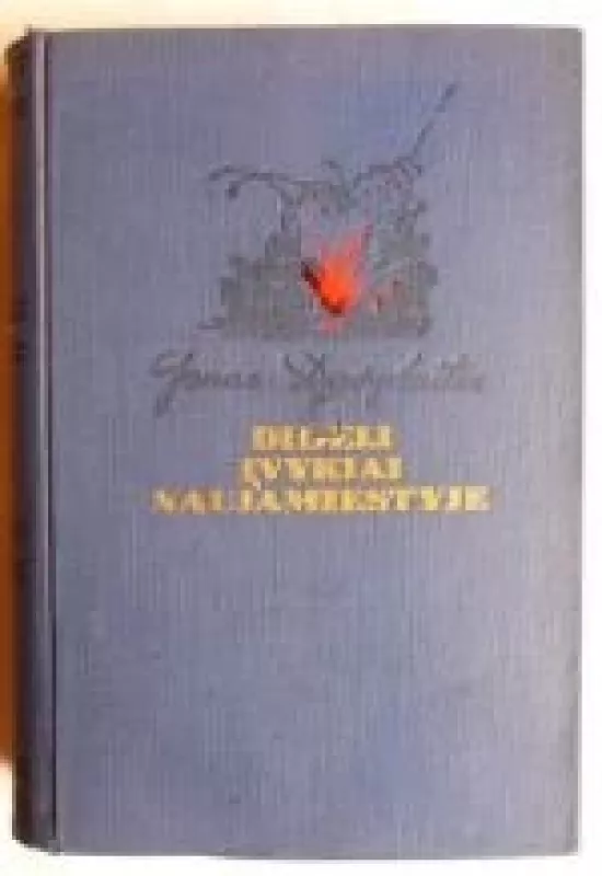 Dideli įvykiai Naujamiestyje - Jonas Dovydaitis, knyga