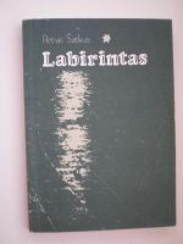 Labirintas - Petras Šatkus, knyga
